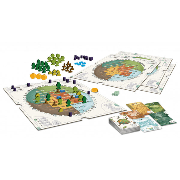 Evergreen Strategy Game | Board Game Bandit